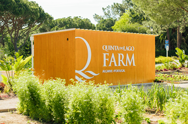 Football Camp - Quinta do Lago